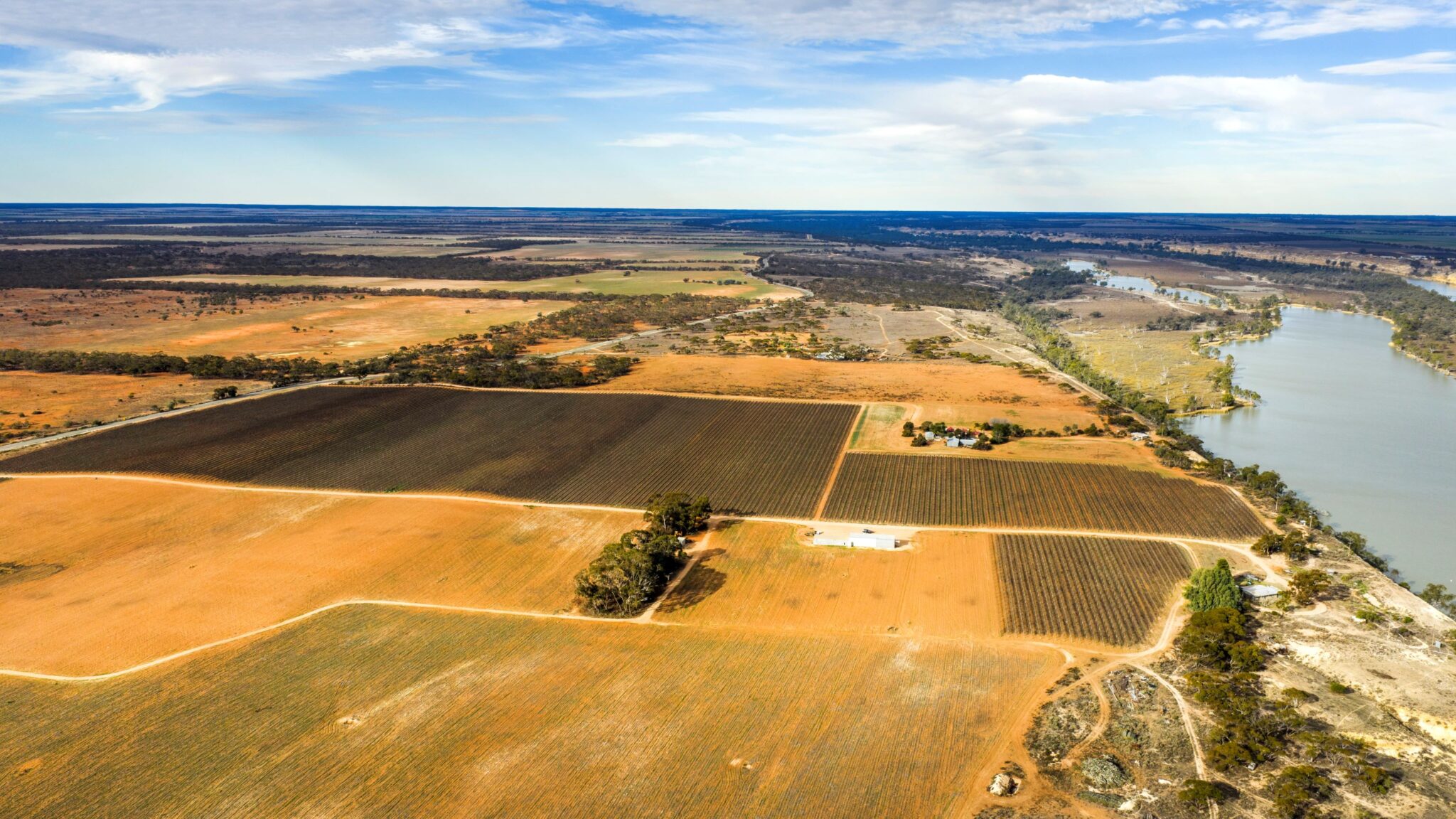 For Sale | Thomson Vineyard Portfolio Property News