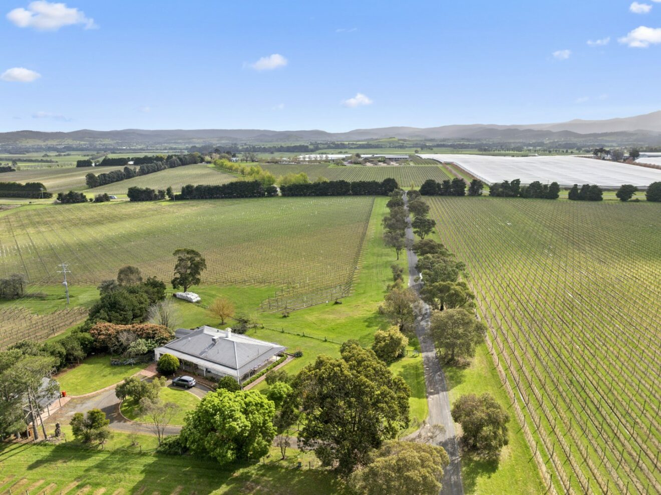 Colliers: Vestey Family is Selling Coombe Farm | Property News