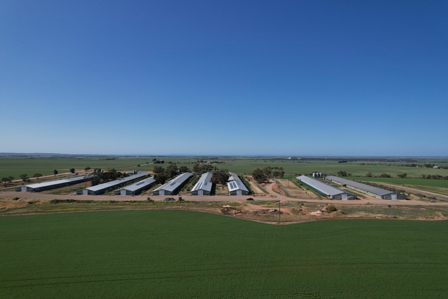 Australia’s Second-Largest Poultry Farm For Sale | Property News